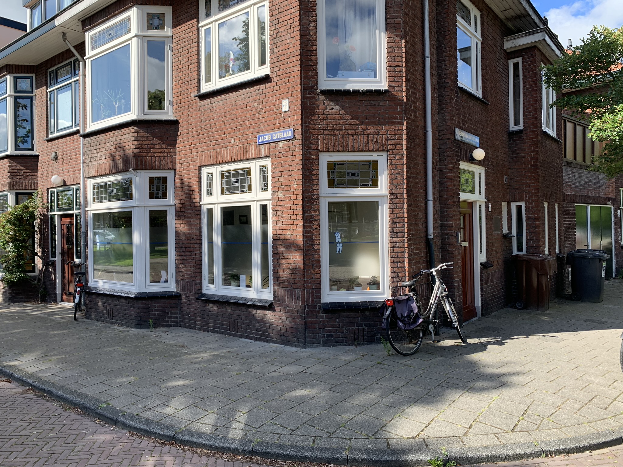 Home - Dento Volente